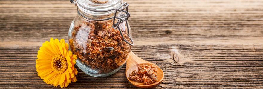 The Benefits of Propolis: Reasons to Use This Amazing Substance